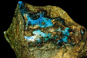 14 Interesting Facts About the Beautiful Opal - Howard Fensterman Minerals